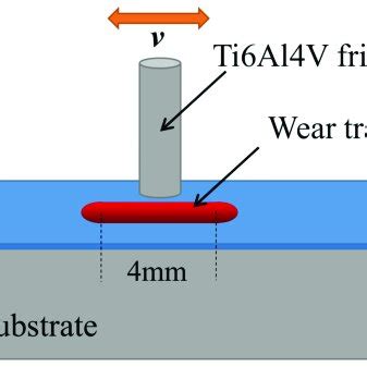 Friction Test Diagram Download Scientific Diagram