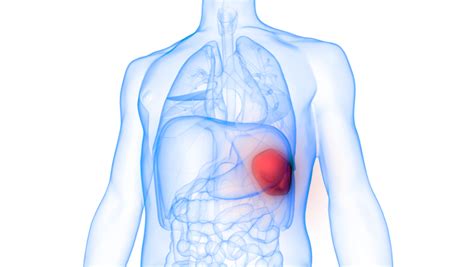 女人脾虚比肾虚更可怕,脾虚让女人变丑,30岁像50岁! 知乎 女人脾虚比肾虚更可怕,脾虚让女人变丑,30岁像50岁! 知乎