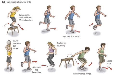 Power Up With Plyometrics Health Articles