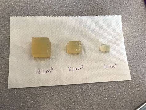 Diffusion In Agar Cubes Caitlin S Blog Diffusion In Agar Cubes Caitlin S Blog