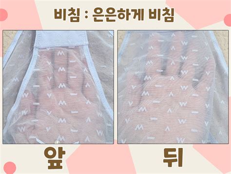 눈설 [1 1할인 오늘출발] 파스텔 망사팬티 끈팬티 섹시팬티 섹시한속옷 여성팬티 야한속옷 남친이벤트 여자팬티 이벤트속옷 섹시속옷 란제리