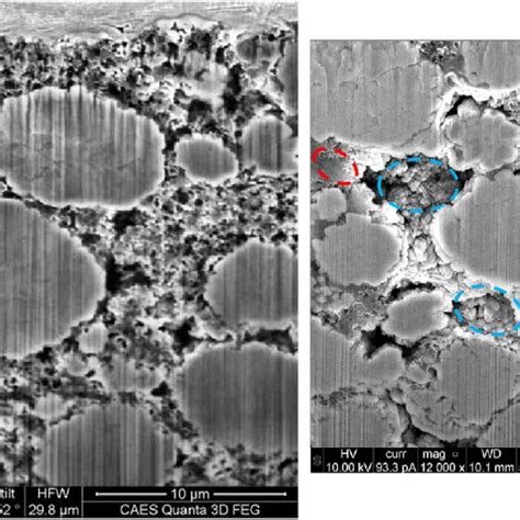 Sem Cross Section Of Left High And Right Low Cbd Cathodes Dashed