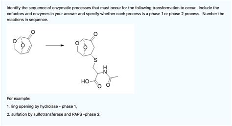 Solved Identify The Sequence Of Enzymatic Processes That