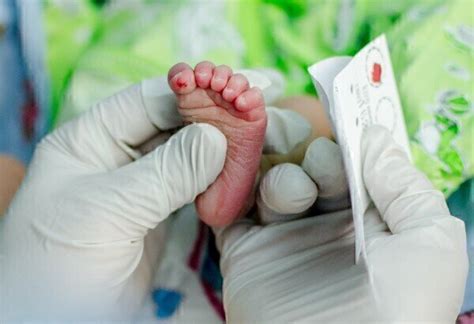 Reliable Sample Preparation For Neonatal Screening Labmate Online