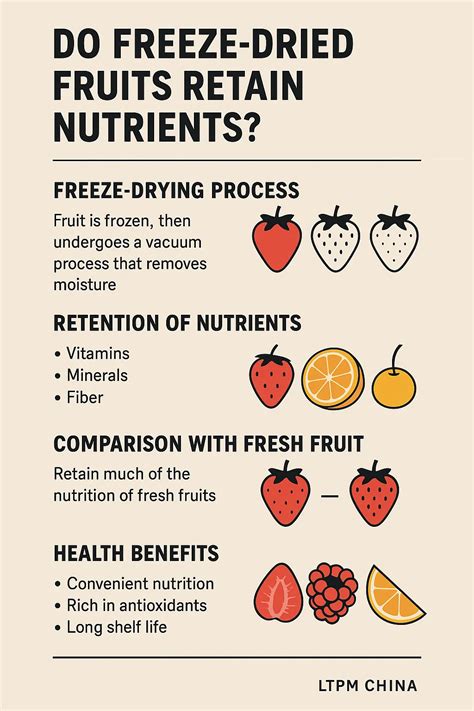 Do Freeze Dried Fruits Retain Nutrients A Comprehensive Guide Freeze Drying Machine Ltpm China