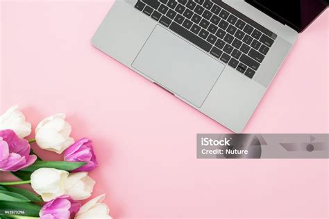 노트북과 튤립 꽃 분홍색 배경입니다 플랫이 하다 최고의 볼 수 있습니다 튤립과 컴퓨터입니다 0명에 대한 스톡 사진 및 기타 이미지 Istock