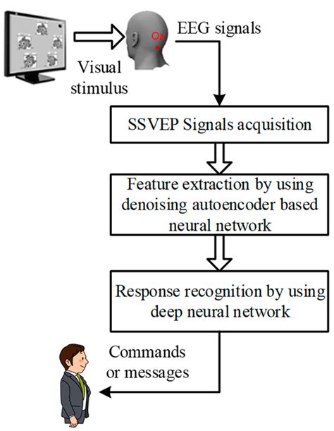 Denoising Autoencoder Based Feature Extraction To Robust Ssvep Based Bcis
