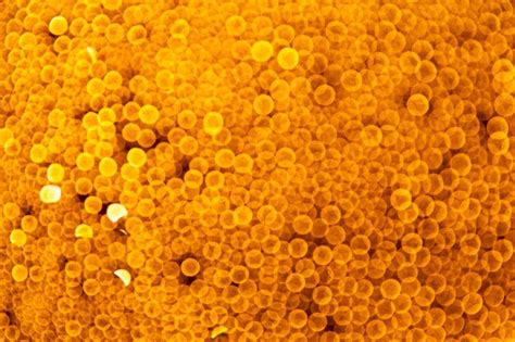 Premium Photo Abstract Blurry Textures Bokeh