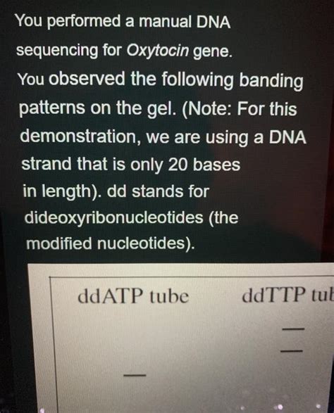 Solved You Performed A Manual Dna Sequencing For Oxytocin