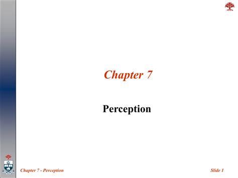 Chapter 7 Perception