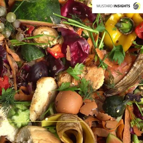 The Circular Economy Or “circularity” As This Writer Would Rather Call