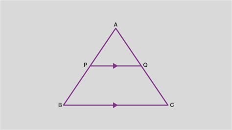 Unlock Success In Bpt Basic Proportionality Theorem Class 10
