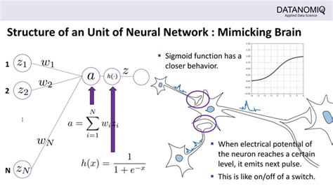 Illustrative Introductory Neural Networks Ppt
