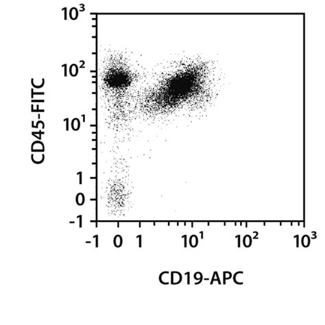 B Cells Mouse Miltenyi Biotec España