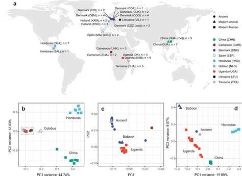 Global Sampling Distribution And Broad Scale Genetic Relatedness Of