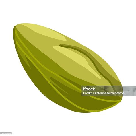 부드러운 질감과 자연스러운 모양의 피스타치오 너트 식용 씨앗의 손으로 그린 벡터 그림입니다 스낵 브랜딩 제품 디자인 메뉴 비주얼 스티커 건강한 식생활에 대한 스톡 벡터 아트