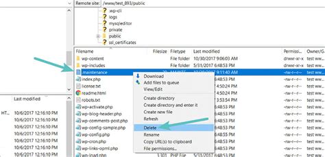Wordpress Plugin Update Failed How To Fix It