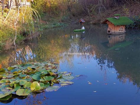 Златният парк в Луковит