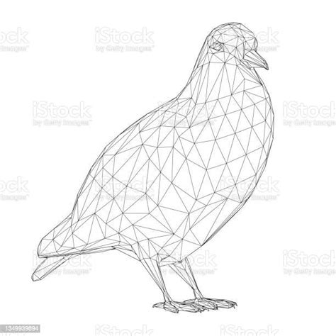 흰색 배경에 격리 된 검은 색 라인에서 비둘기 와이어 프레임 3d 벡터 일러스트레이션 3차원 형태에 대한 스톡 벡터 아트 및