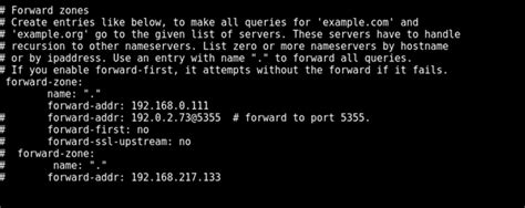 Unbound DNS Blocking Steffin Stanly