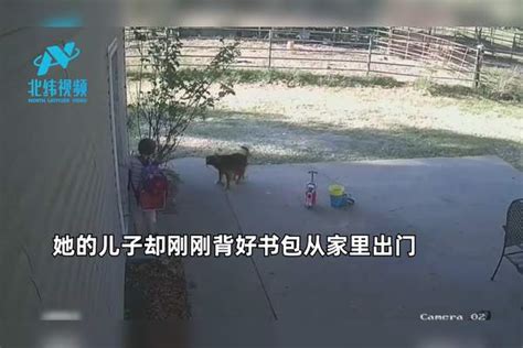 母亲送娃上学却忘了娃开车一骑绝尘害娃苦追不上成功将其留下