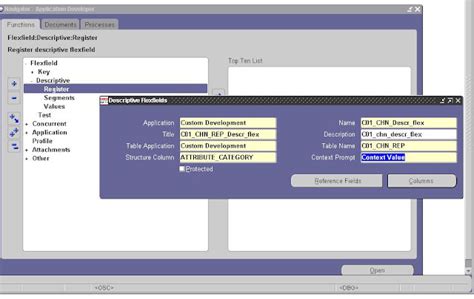 Rafiuddin Oracle EBS Techo Functional Descriptive Flex Fields In