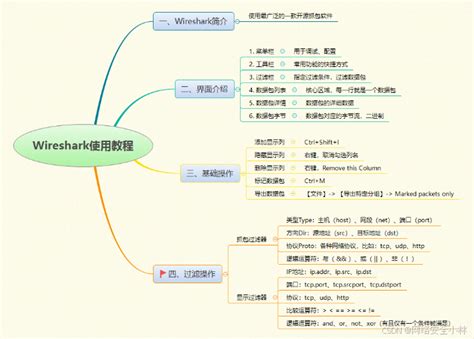 《网络安全自学教程》 wireshark零基础使用教程（超详细） wireshark使用教程入门 csdn博客