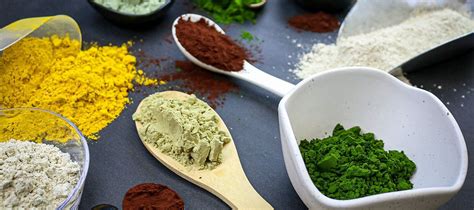 Algae Based Alternative Protein Sunland Nutrition