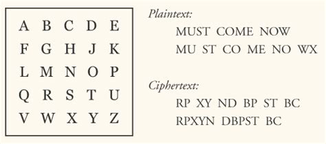 Monoalphabetic Cipher Vs Polyalphabetic Cipher Basic Difference Plus Example Viva Differences