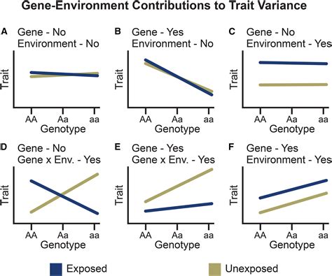 Gene Environment Interactions Within A Precision Environmental Health Framework Cell Genomics