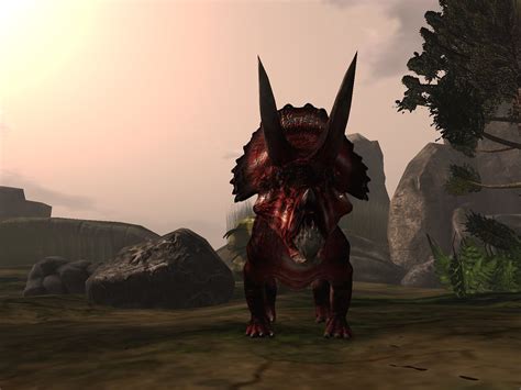 Triceratops Triceratops Horridus Male I Took This Photo Flickr