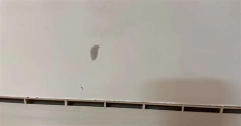 한분이 오셔서 깨끗하게 해주셨어요 진행현황을 수시로 공유해주셨어요 숨고 숨은고수