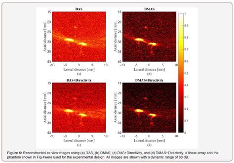 Effects Of Element Directivity In Linear Array Photoacoustic Imaging