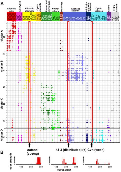 Odor Inputs Used For All Simulations A Odor Input To Each Mitral Cell Download Scientific