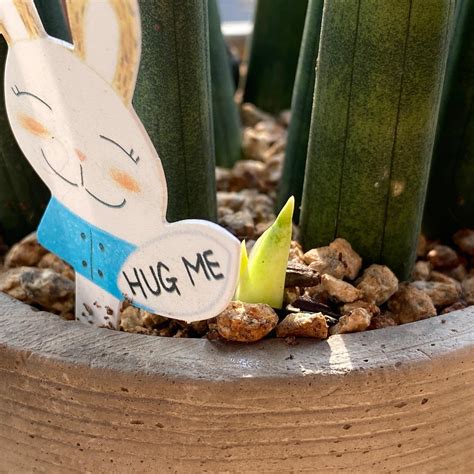 참빛사랑교회 싹트네 싹터요~ 내 마음에 사랑이~💕 힘든 상황 속에서도 언제나 소망을 주시는 주님의