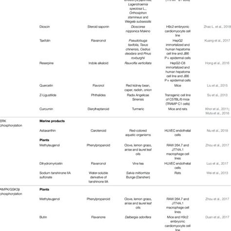 Domain Structure Of Nrf2 And Keap1 A Functional Nrf2 Ech Homology