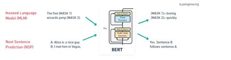 Lstm And Bert Models For Natural Language Processing Nlp