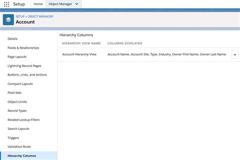 Salesforce Account Hierarchy Columns And Recently Viewed Columns