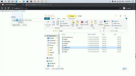 how to insert image in database using php and mysql youtube