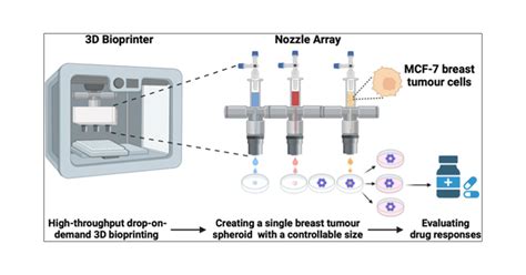 Electrostatically Cross Linked Bioinks For Jetting Based Bioprinting Of 3d Cell Cultures Acs