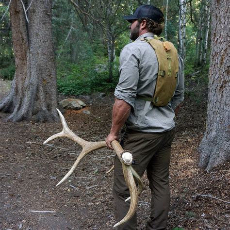 Cases And Packs Alpine Products