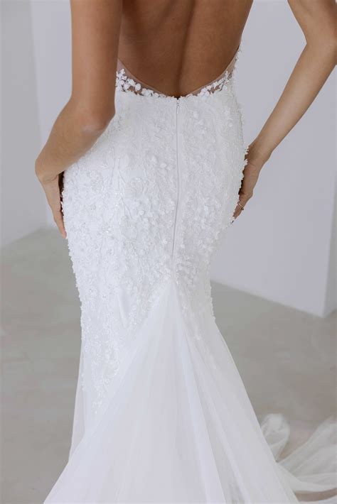 Delphinium — Alena Leena