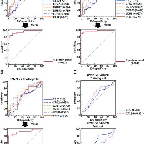 Classification Table Of The Ipmn Multiprotein Panel A Training Set