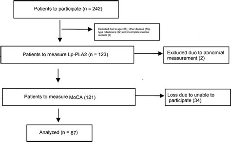 Diagram Of Patient Selection Measurement And Analysis Download
