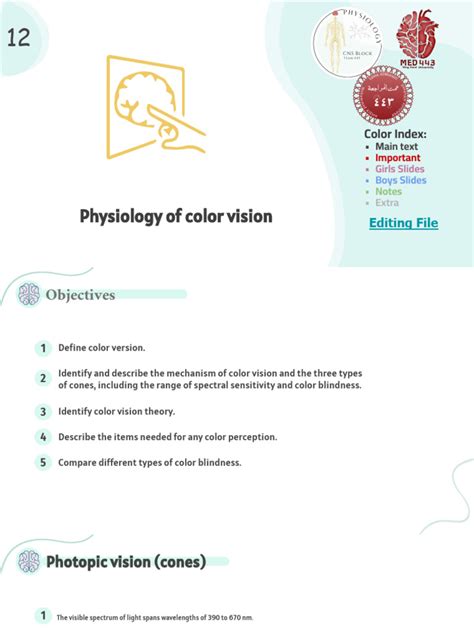 L12 Physiology Of Color Vision Pdf Color Visual Perception
