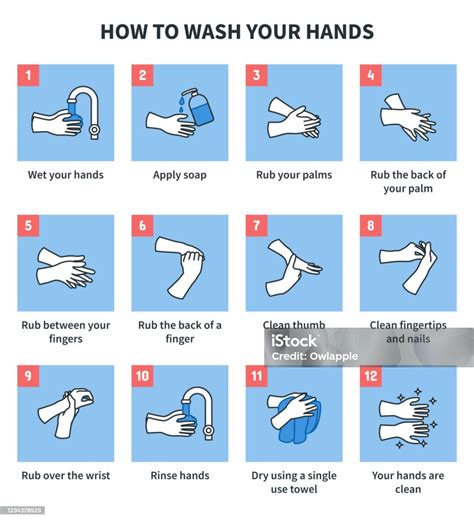 물과 비누로 손을 씻는 방법의 인포 그래픽 그림 적어도 20 초 바이러스를 방지하기 위해 손을 올바르게 씻는 방법 단계별 인포그래픽 일러스트레이션 손에 대한 스톡 벡터 아트