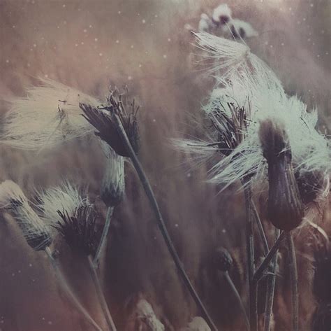 Spooky 1 Fubiz Media