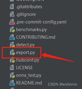 yolov5 onnx推理报错 python wsfeimo GitCode 开源社区