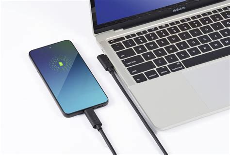 Renkforce USB C Screen Cable USB Nd Gen USB Nd Gen USB C Plug M Black RF