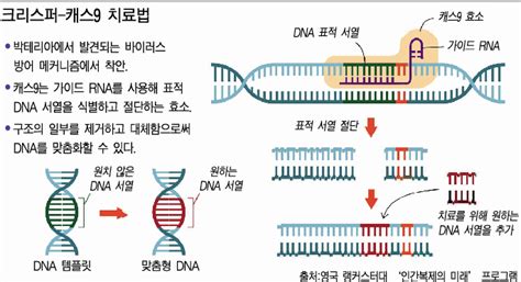 유전자편집기술 개요 종류별 특징장점단점 응용분야 기술개발동향 관련 기업 네이버 블로그